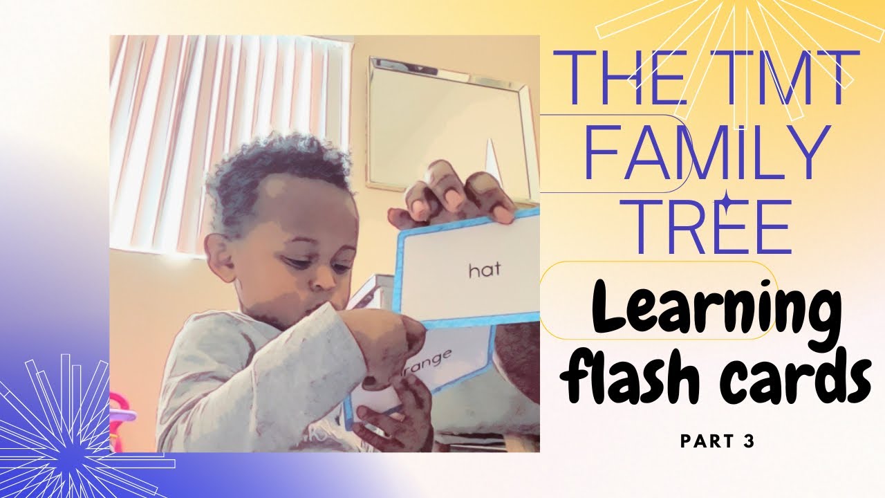 Flash cards for babies part 3 |The TMT Family Tree - YouTube