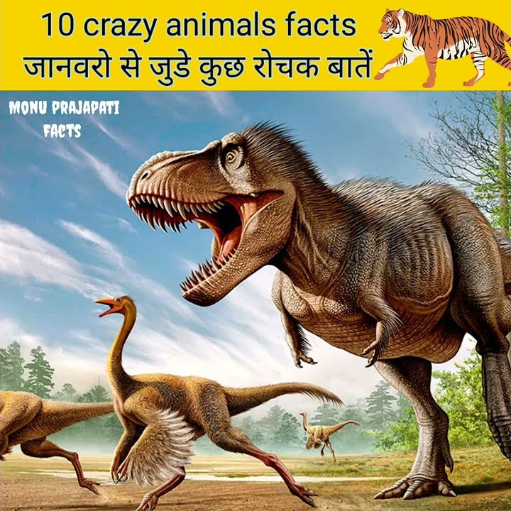 Crazy Facts About Animals 🐸🐅 | Amazing Facts Random Facts #shorts # ...