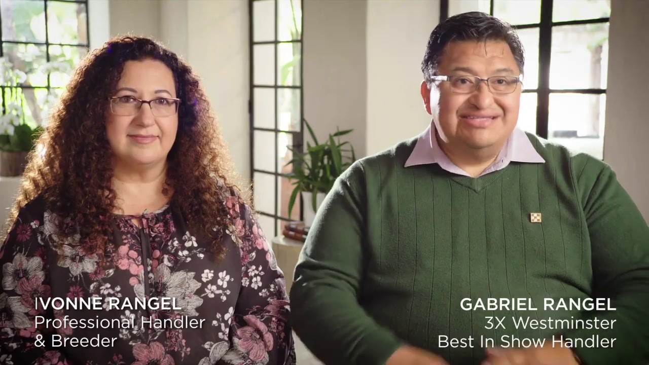 Gabriel Rangel & 2019 Best in Show Winner, King by Purina Pro Plan ...