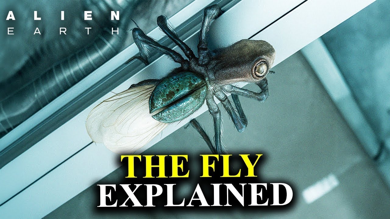 Alien Earth Episode 6 Ending Explained | The Fly Breakdown & Review ...