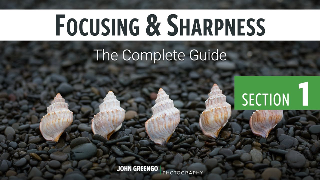FOCUS and SHARPNESS Fundamentals Every Photographer Needs to Master ...