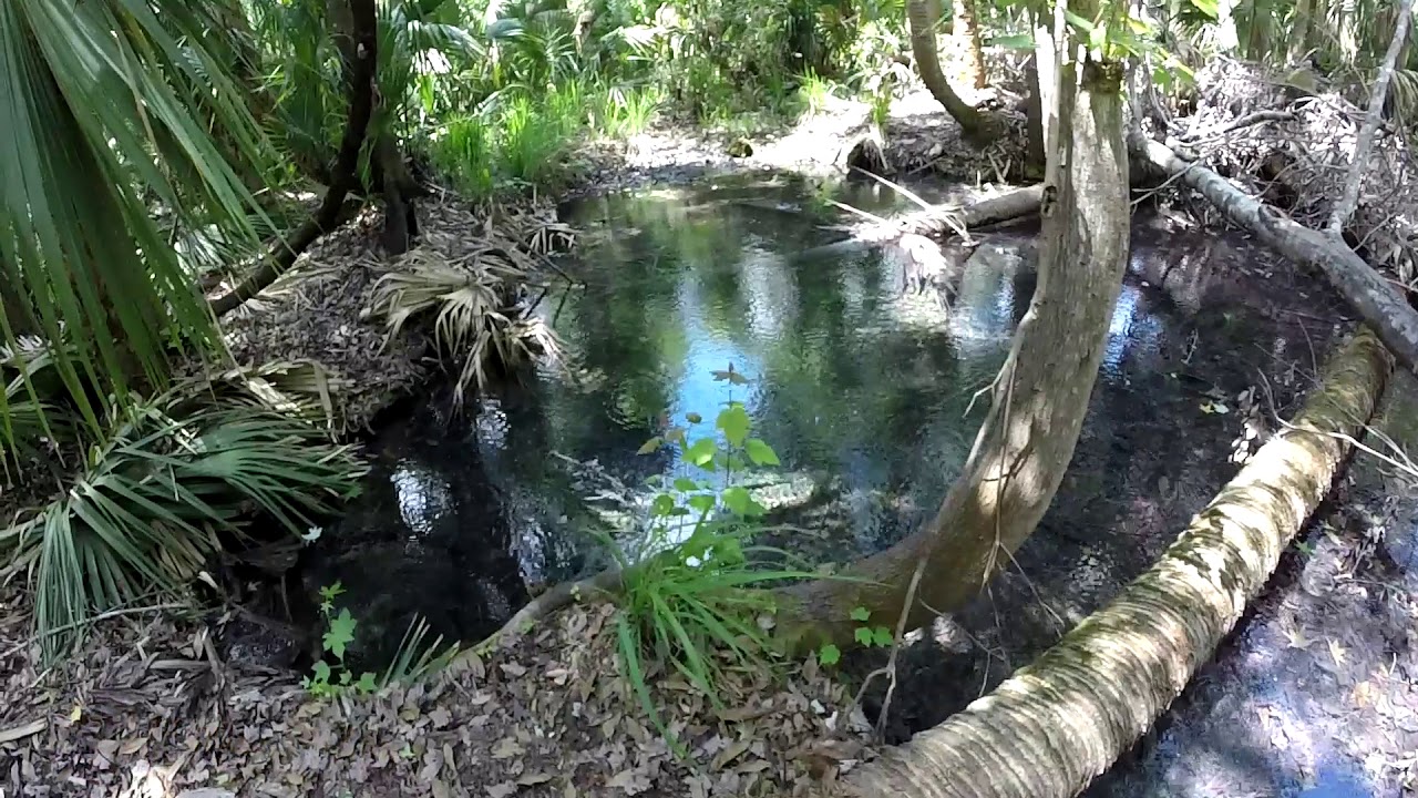 Seminole Springs Florida