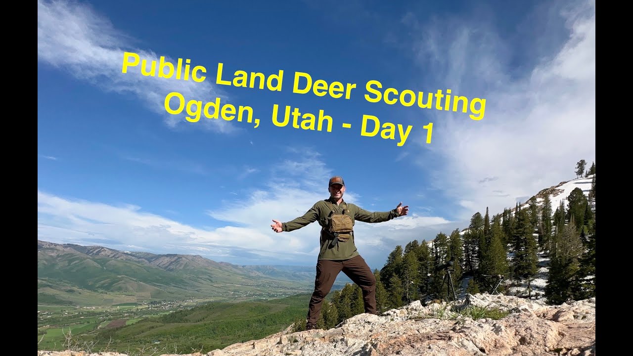Hiking and deer scouting on Utah public land - YouTube