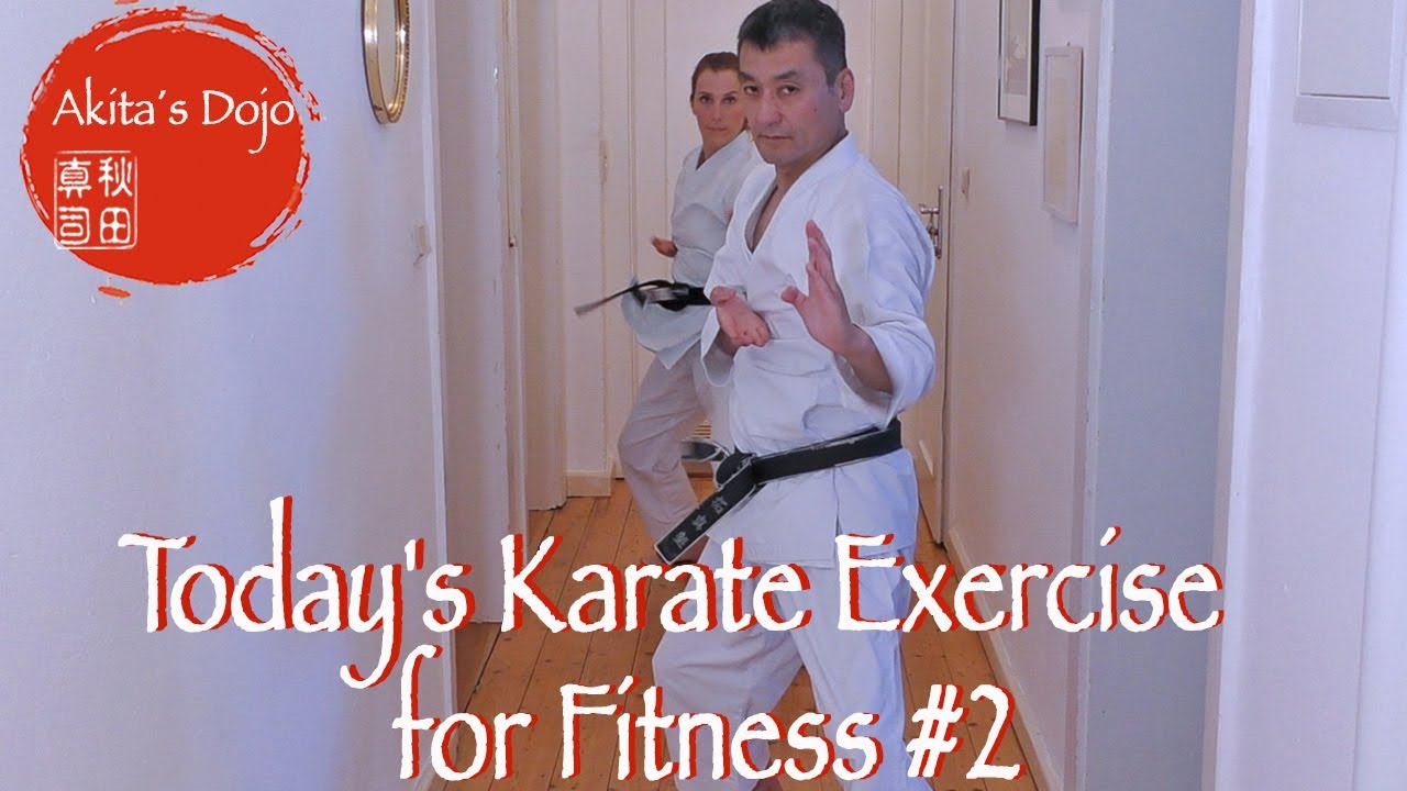 Today's Karate Exercise for Fitness #2 今日の空手の稽古【Akita's Karate Video ...
