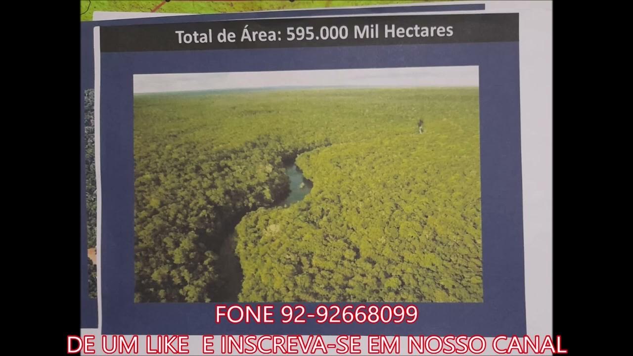 250 REAIS POR HECTARES YouTube 250-reais-por-hectares-youtube