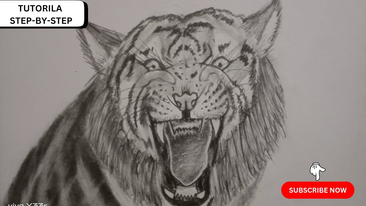 How To Draw a Tiger | Step by Step Sketch Tutorial🐯 - YouTube