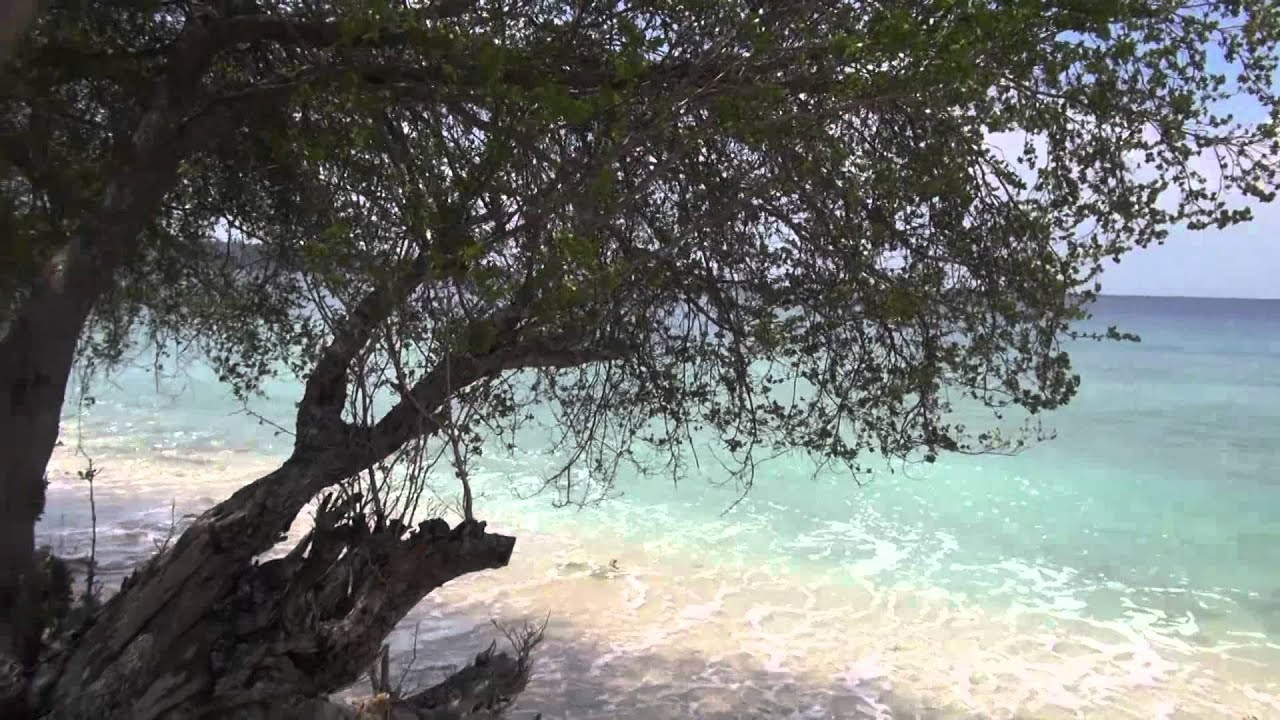 GREEN RIDERS - 11 - Here is the WHY... - YouTube