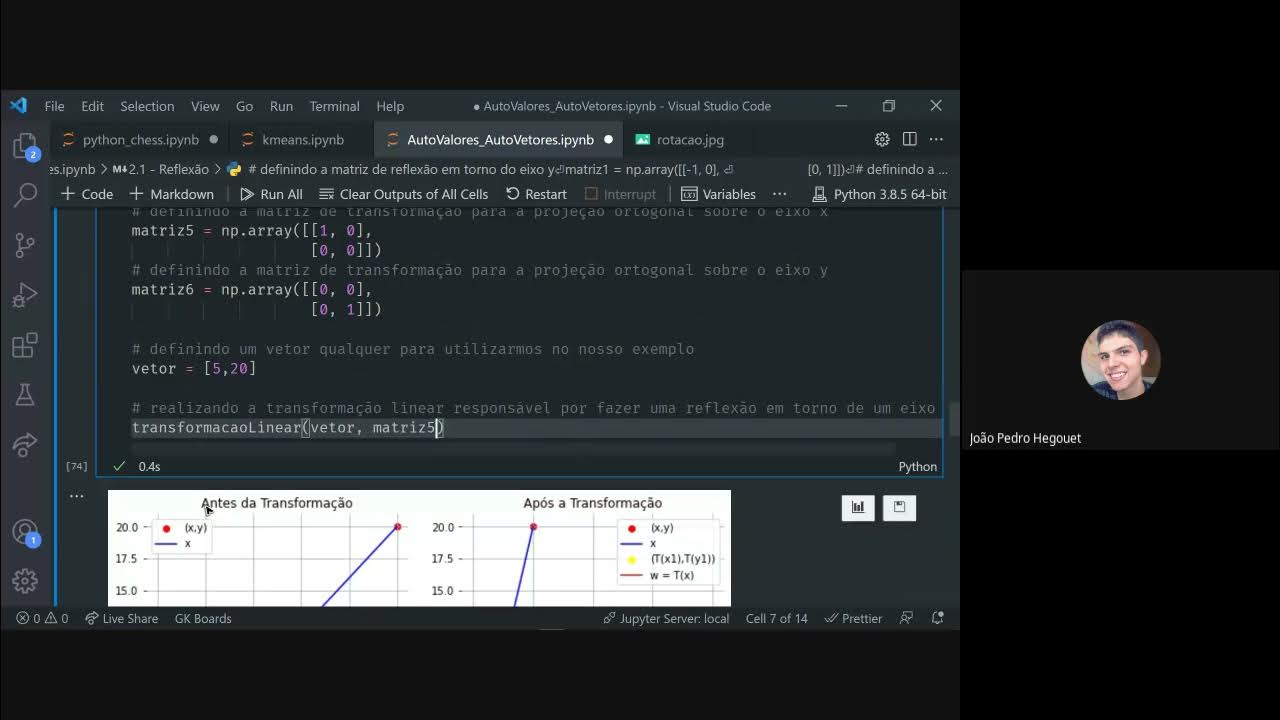 Álgebra Linear: Autovalores, autovetores e transformações lineares em ...