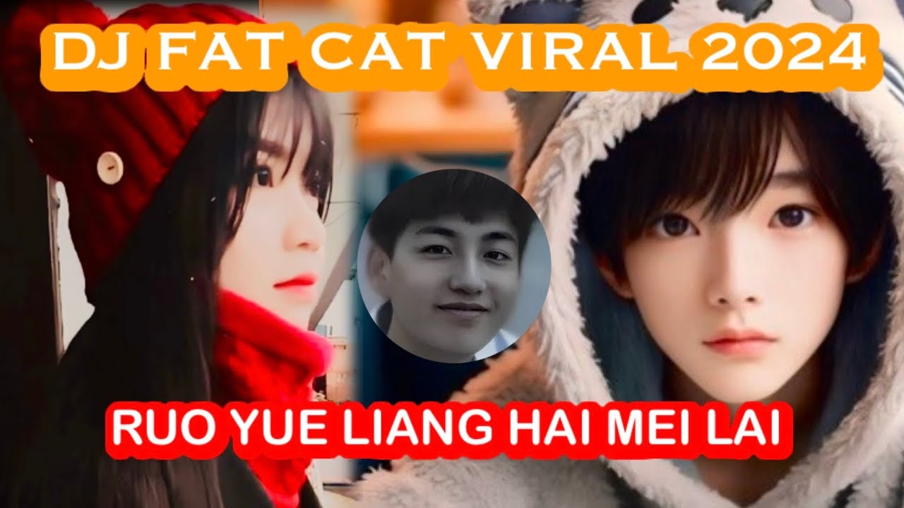 DJ FAT CAT REMIX RUO YUE LIANG HAI MEI LAI VIRAL TIKTOK 2024 - YouTube