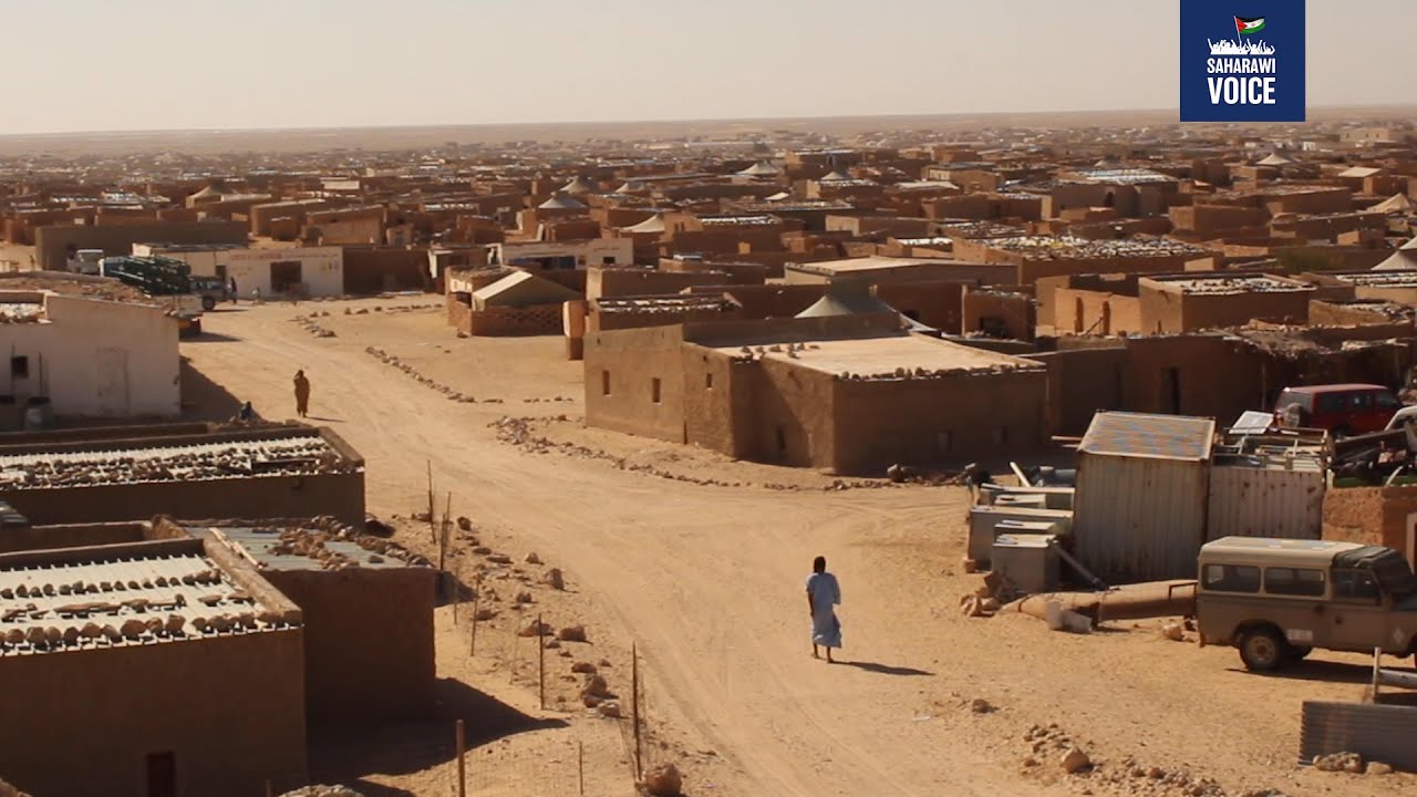 What does being a Saharawi mean to the youth of Western Sahara? Hamdi ...