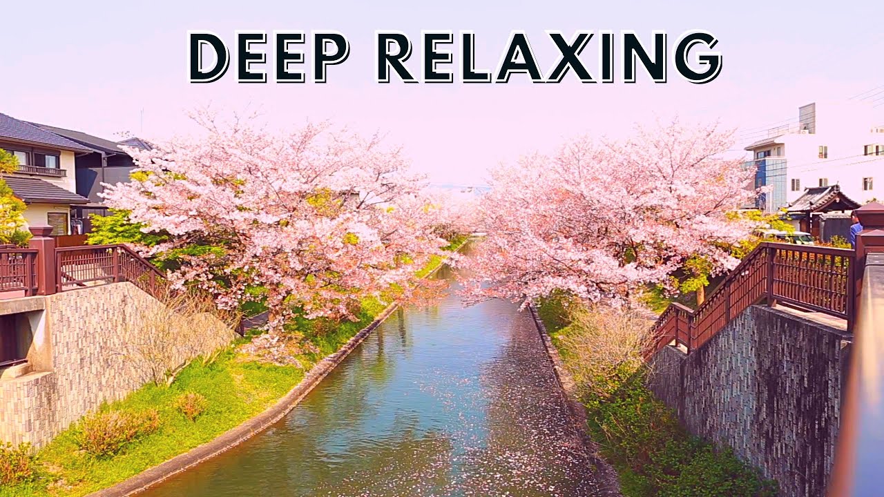 01h Spring Landscape 2022 - Relax Your Mind | Meditation, study, sleep ...