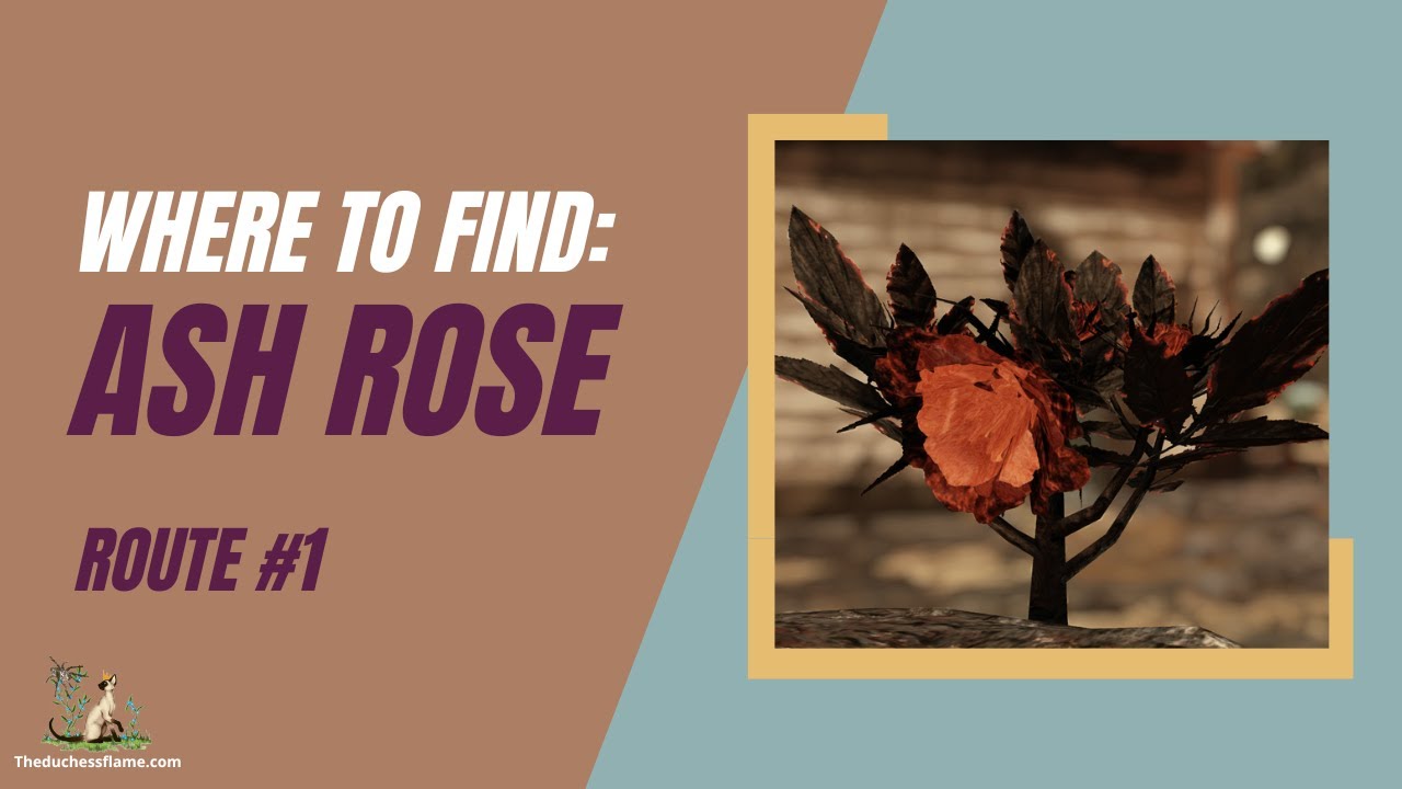 Where to find and how to farm for Ash Rose in Fallout 76 - Route #1 ...