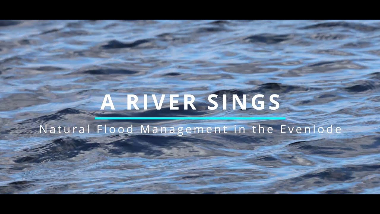 A River Sings - YouTube