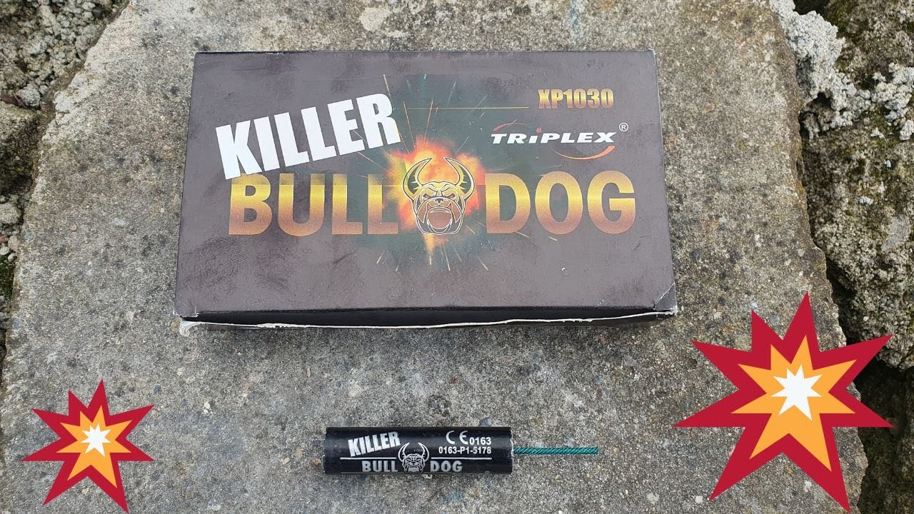 TRIPLEX - Killer Bull Dog🧨 - YouTube