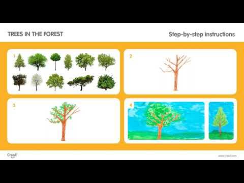 Lesson plan: trees in the forest - YouTube