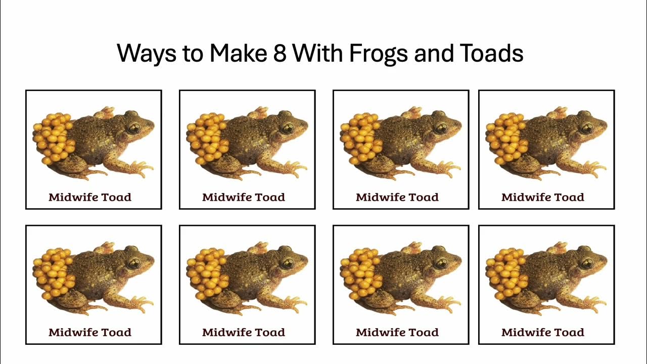 Fun With Numbers by Adding Ways to Make 8 With Frogs and Toads #2Z ...