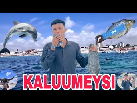 kawaanka Kaluunka Mogadishu| Mogadishu fish Market|Xeebta Liidol 🐟🎣 ...