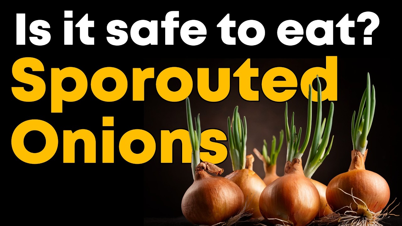Are Sprouted Onions Poisonous? Discover the Truth Now! 🧅 - YouTube