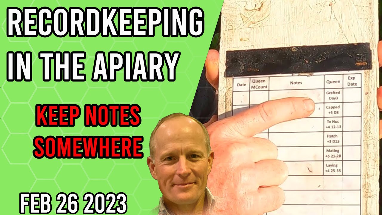 Record Keeping in the Apiary - Jacksonville FL Zone 9a - YouTube