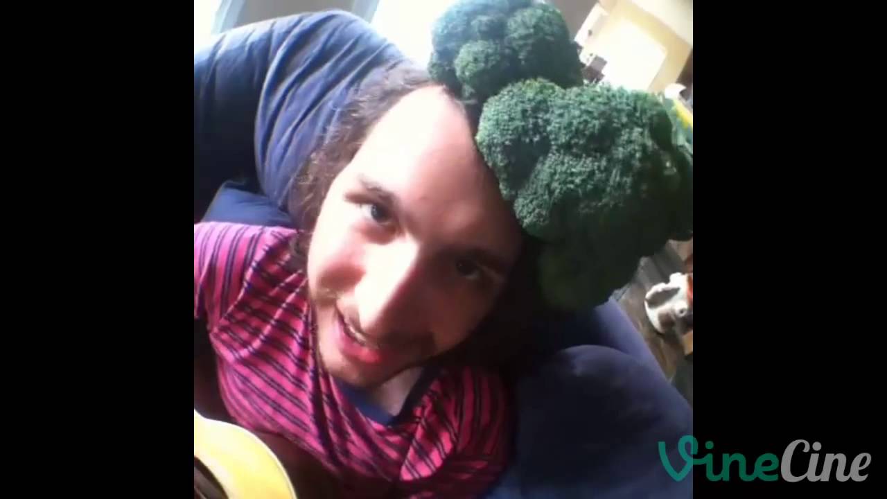 Best Vine Compilation June 2013 - YouTube