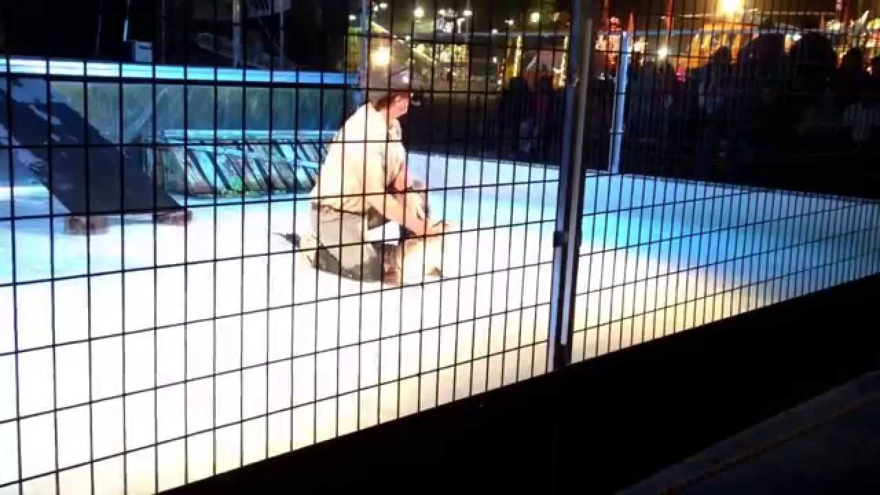 State fair of virginia The Alligator Show-part 4 - YouTube