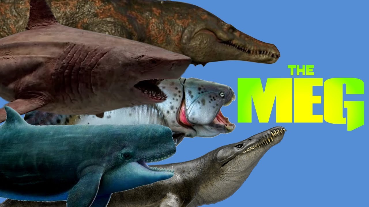 The 10 Giant Creatures In The Meg Novels & Movies - YouTube