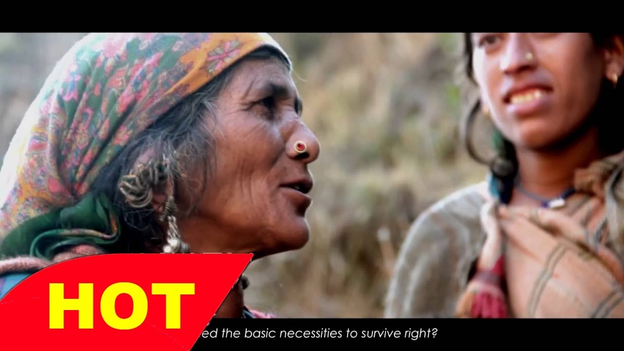 Full Documentary 2016 Facts about Marijuana Trees Discovery Channel ...