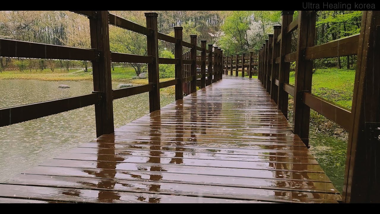 Rainy lake walkway, Best rain sounds for deep sleeping , calm white ...