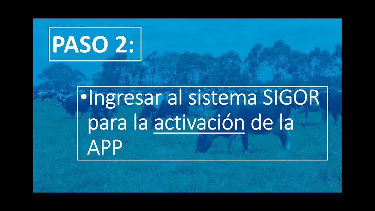 Módulo Ganadero del SIGOR - SENACSA - YouTube
