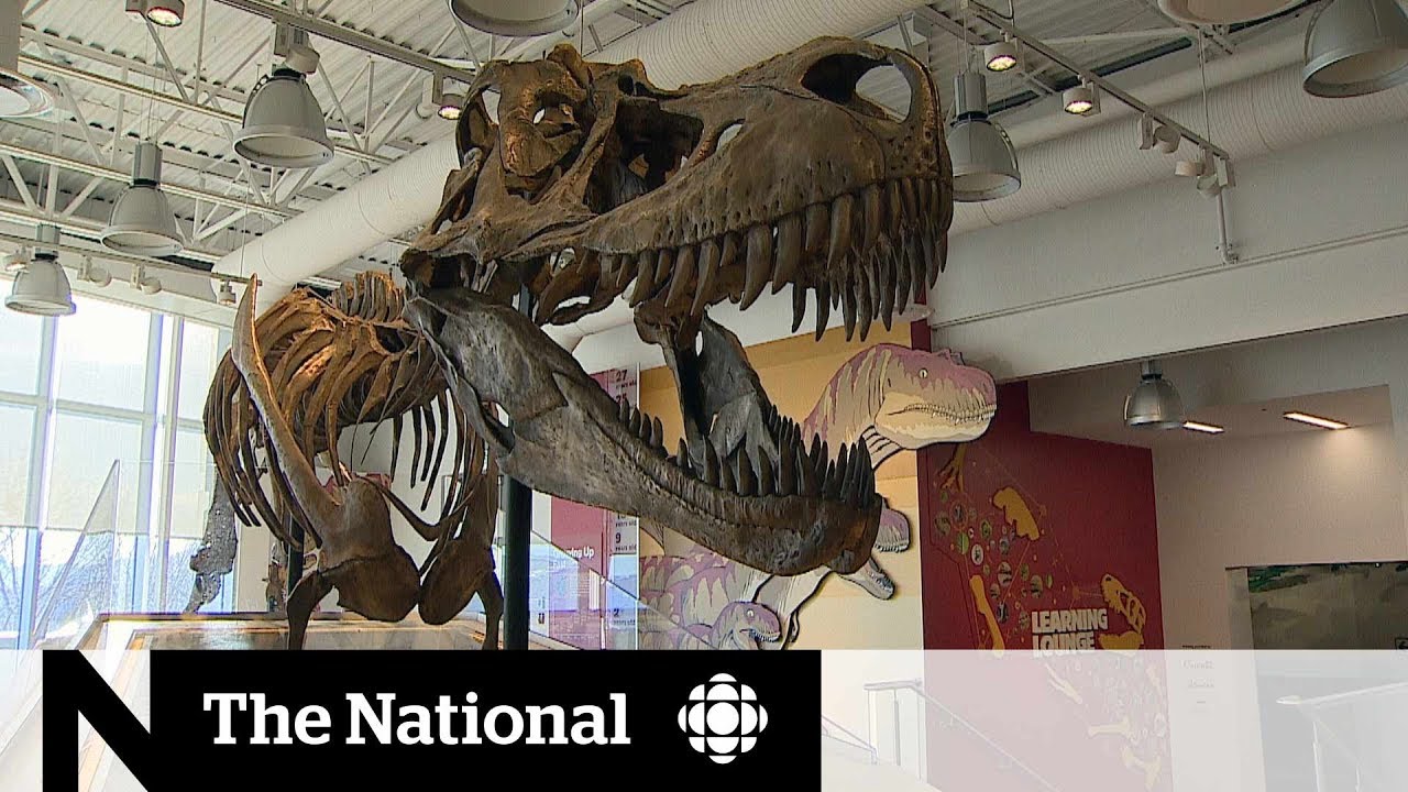 How 3D printing is bringing dinosaur fossils to life - YouTube