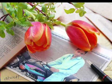 brohi funny - YouTube