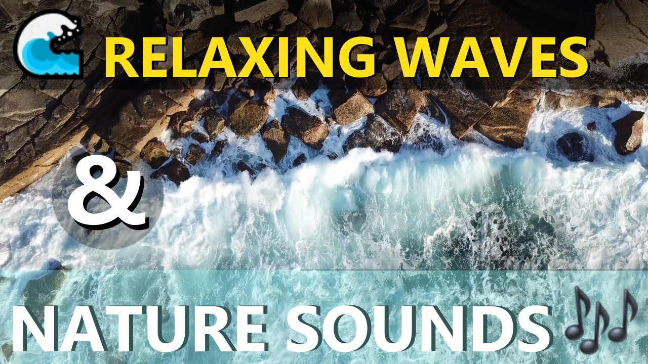 Healing Music 🔆 Nature Sounds and Wave Sounds (10 Minute Meditation ...