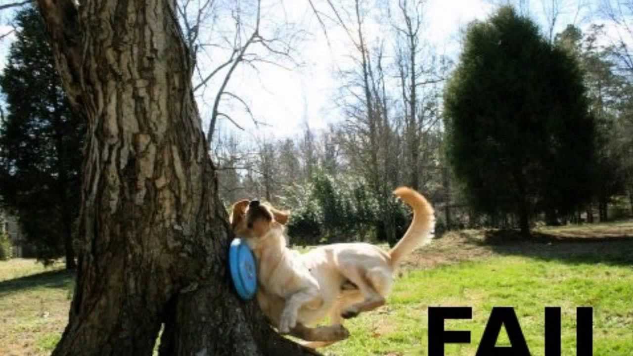 MAJOR FAILS!!! - YouTube