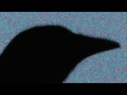 CROW CITY by Natasha Masharova @ VVHY