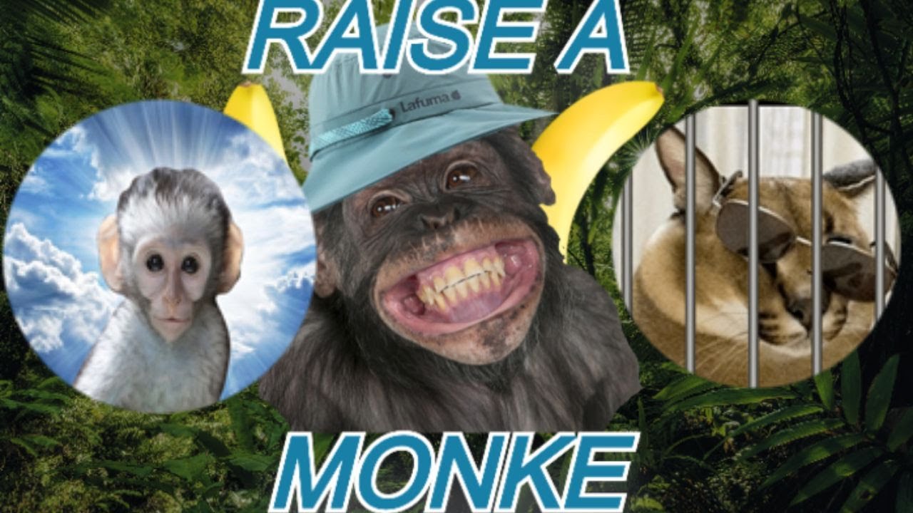 🐒RAISE A MONKE🐒 How to get JUSTICE FOR MONKE BADGE and HONESTY BADGE ...