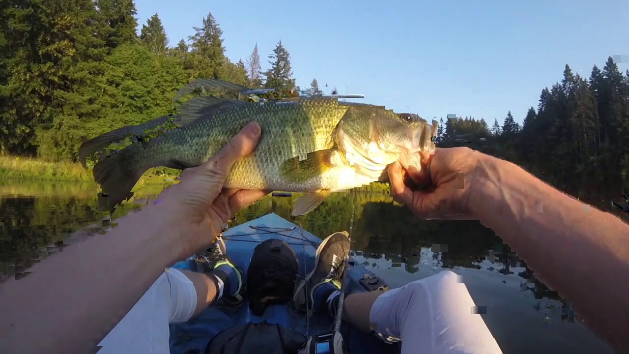 Bass Fishing at Petit Reservoir | Insane Topwater Strike! | - YouTube