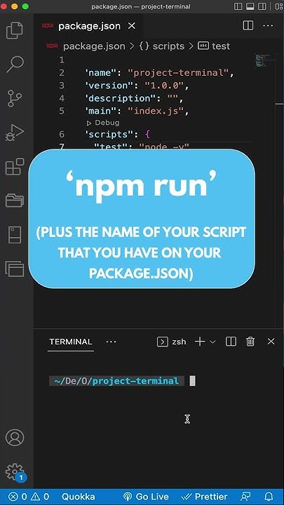 Basic NPM Commands - Web Development #shorts - YouTube