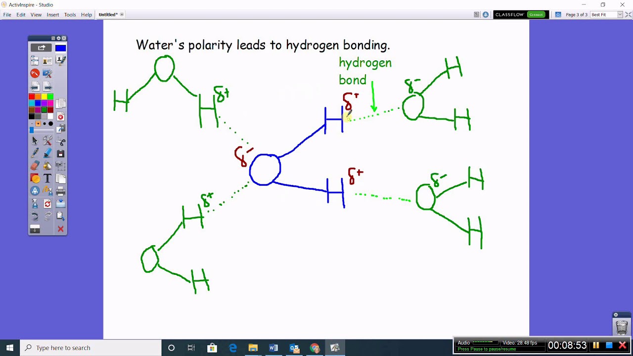 Properties of Water Review - YouTube