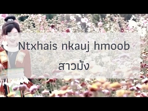 แปลเพลงม้งep14 Ntxhais nkauj hmoob สาวม้ง - Pauv yaj #แปลเพลงม้ง #แฟนม ...