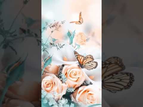 wallpaper photo #viralvideo #youtubeshorts