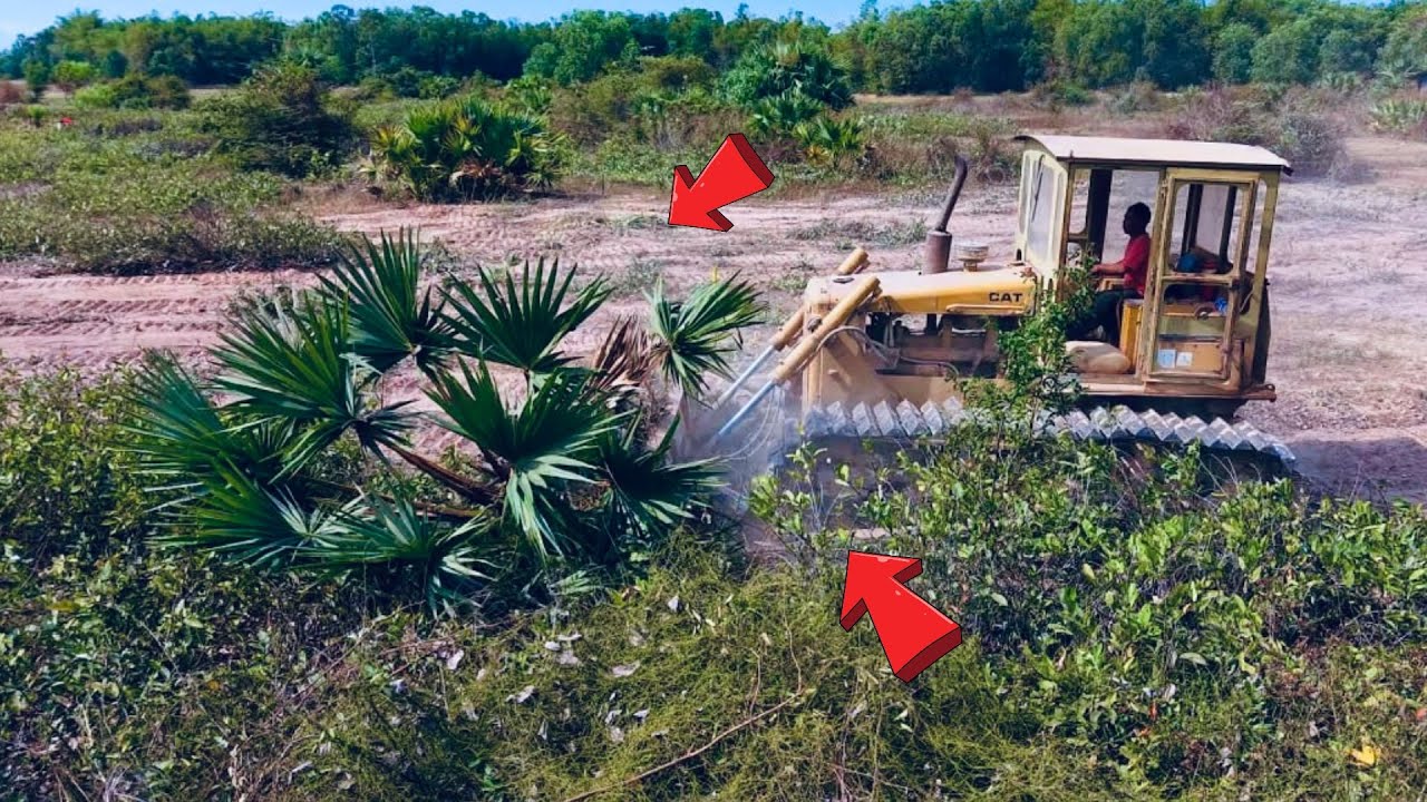 “Bulldozer D50 & 50 Ton Dump Truck Road Construction in Progress - YouTube