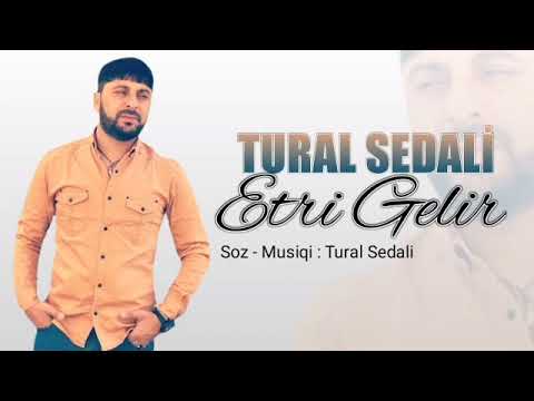 Tural Sedali - Etri gelir 2022