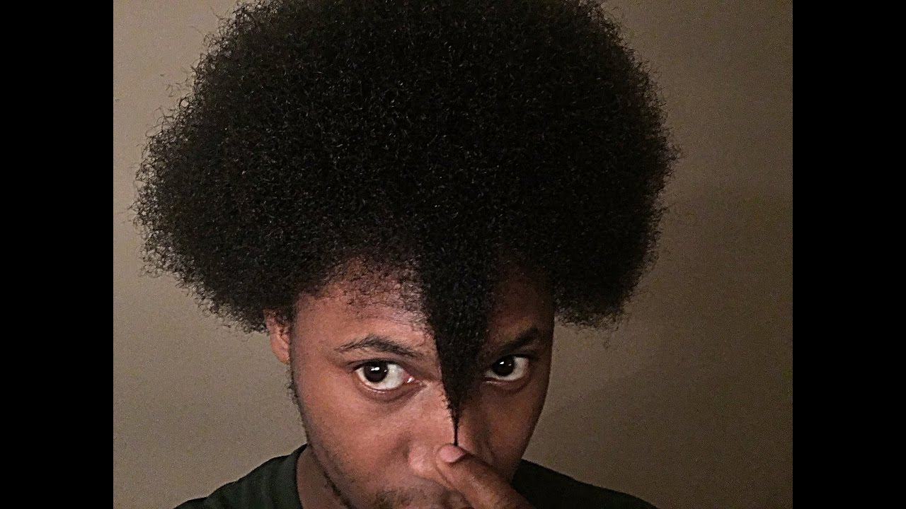 AFRO JOURNEY | 8 MONTH FRO UPDATE LENGTH CHECK - YouTube