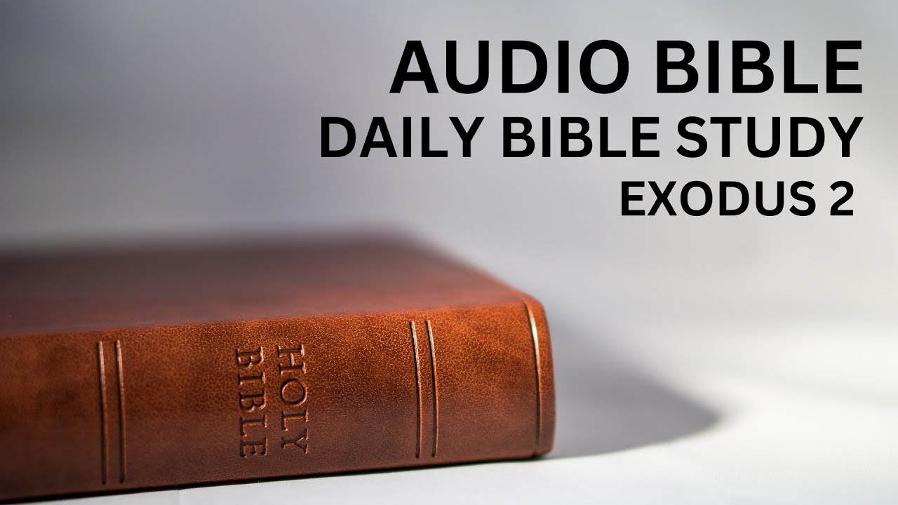 Daily Bible Study: Book of Exodus: Chapter 2: Moses Is Born | Moses ...