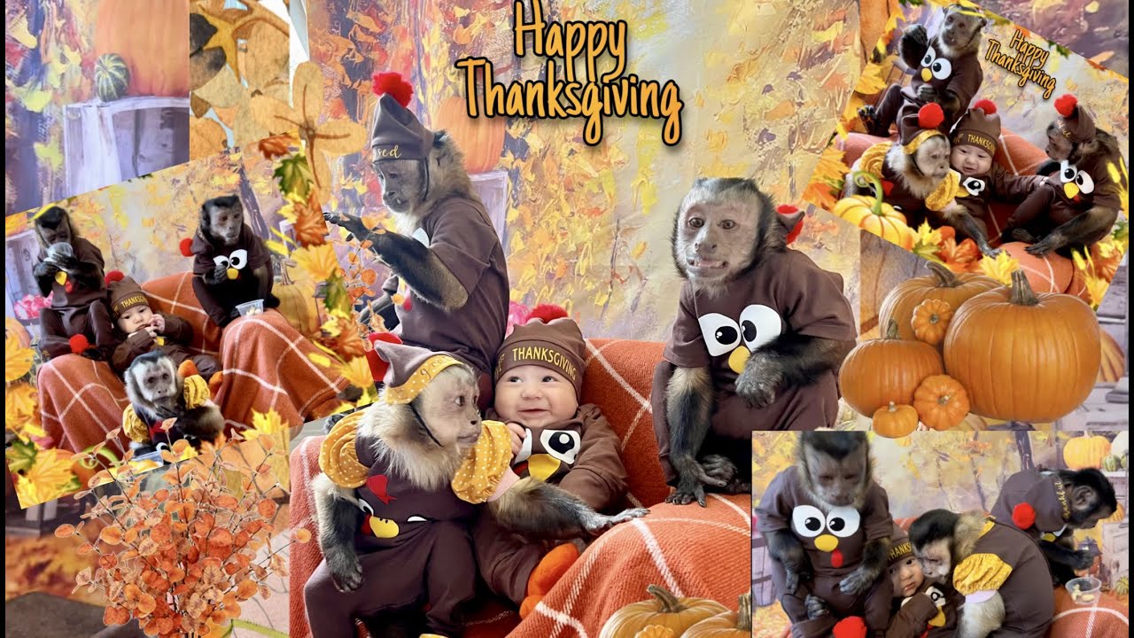Happy Thanksgiving 🦃 from our 3 Monkeys & baby Easton & Family 😍 - YouTube