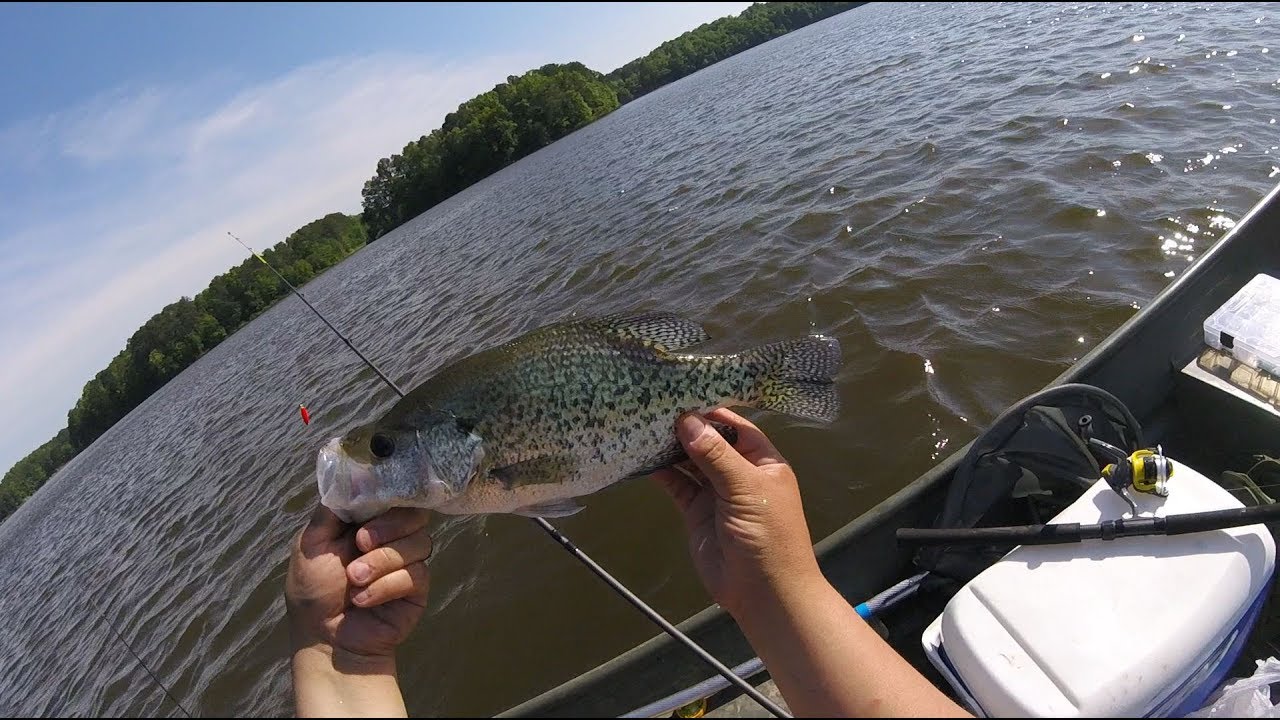 Scurvy Winds With a Chance of Lots of Fish Spring 2018 - YouTube