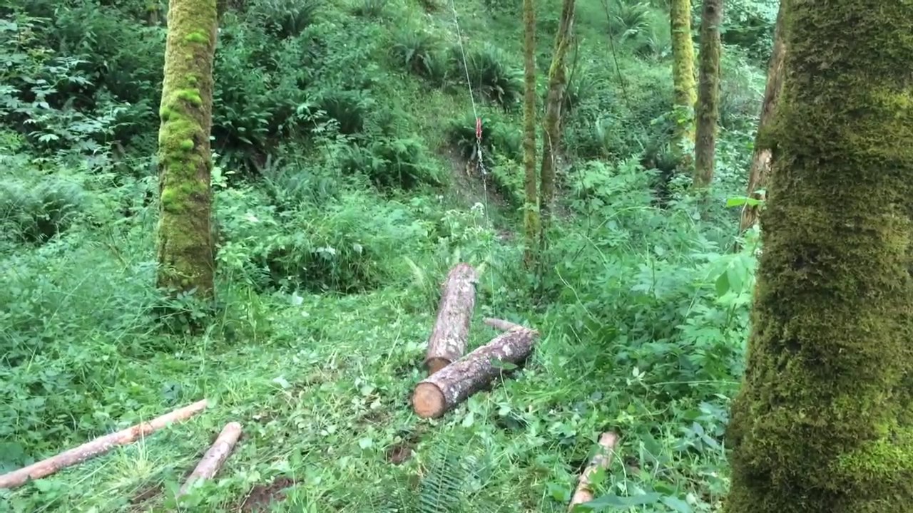 Steam Donkey Logging - YouTube