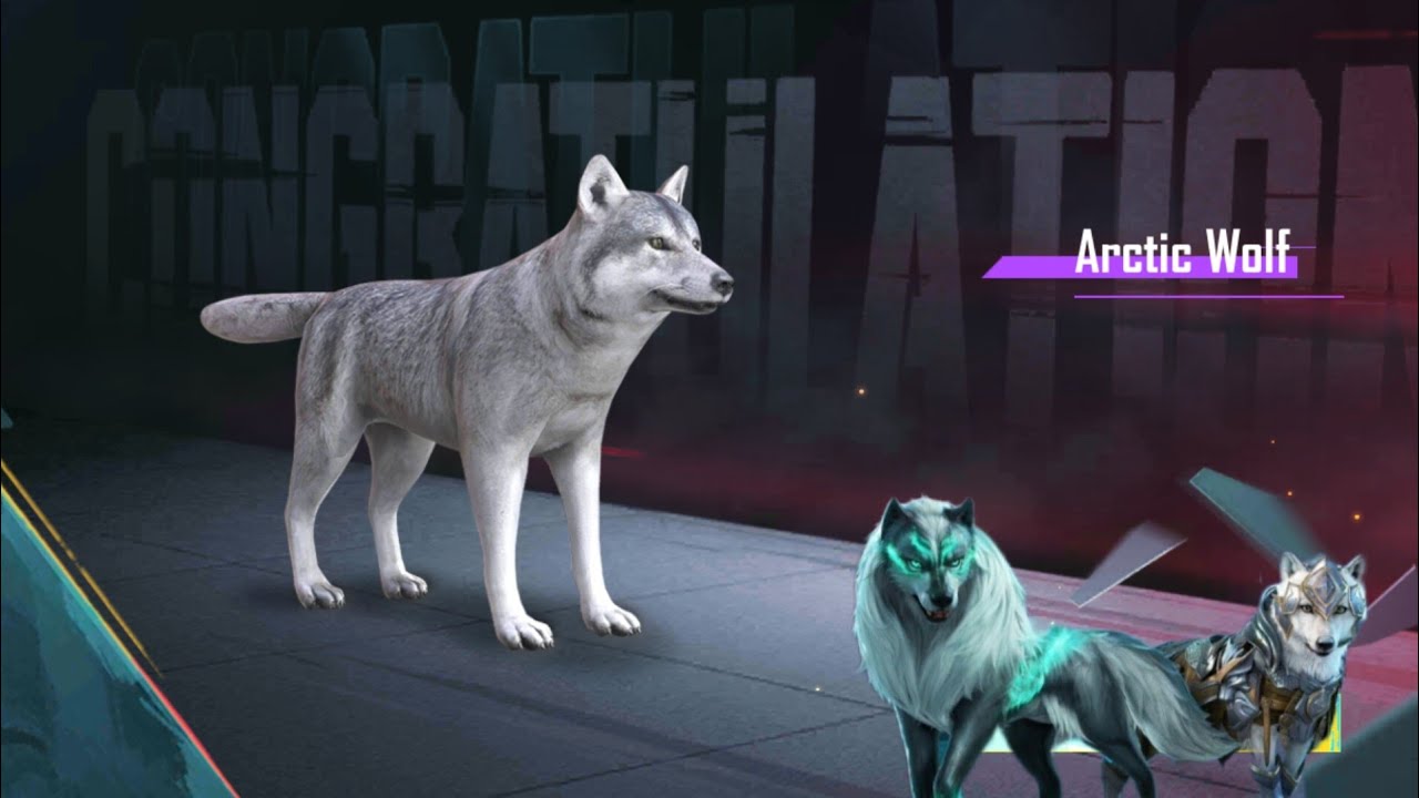Arctic Wolf 🐺 Create Opening PUBG @BattlegroundsMobile_IN - YouTube