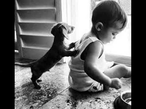 Progetto Matteo Pandolfi 2 C Cardano - YouTube