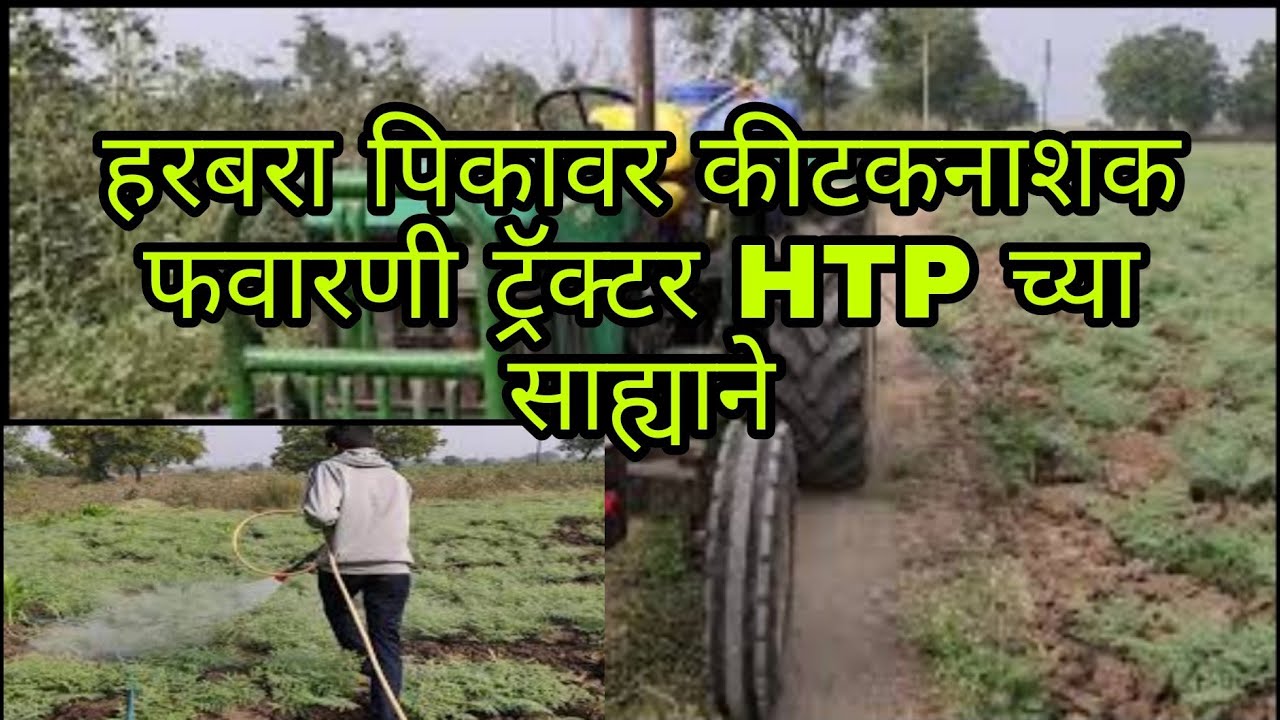 हरभरा पिकास औषध फवारणी ब्लोर च्या साहाय्याने(चना)औषध फवारणी करताना ...